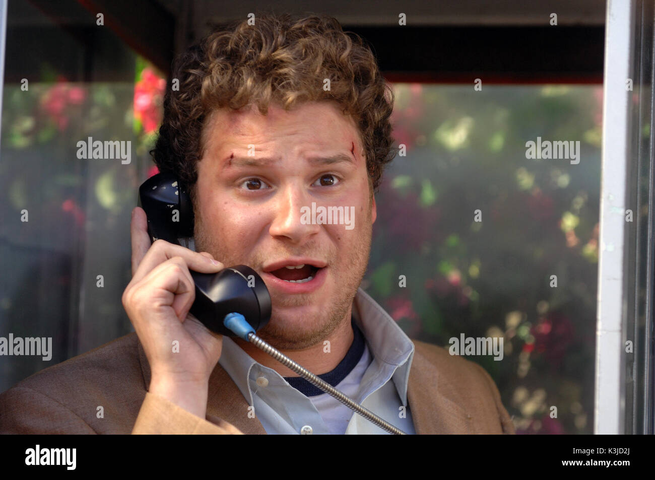 PINEAPPLE EXPRESS SETH ROGEN Date: 2008 Stock Photo - Alamy