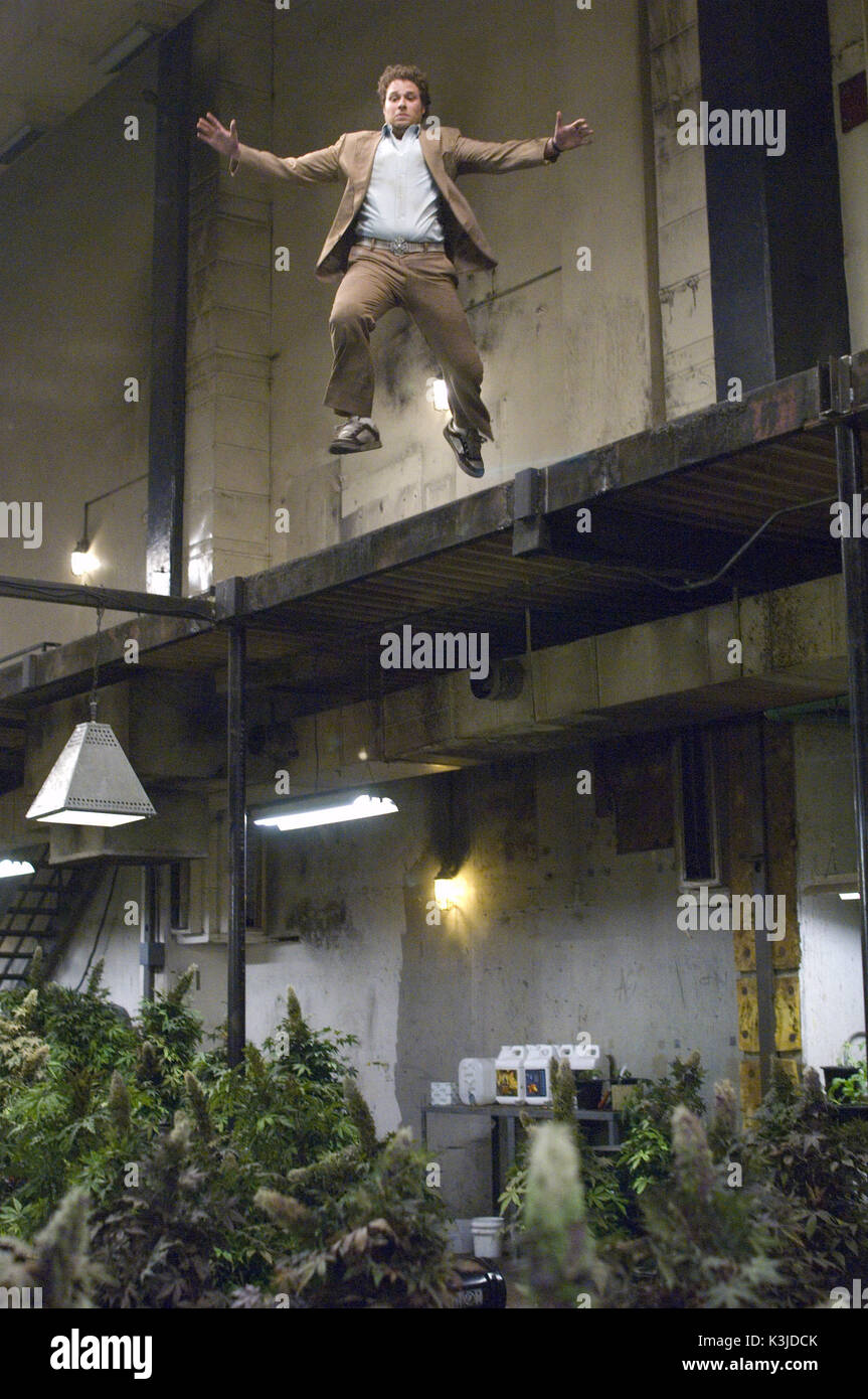 PINEAPPLE EXPRESS SETH ROGEN Date: 2008 Stock Photo - Alamy