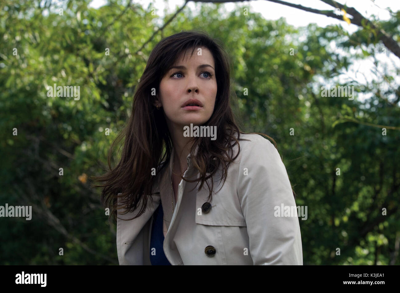 THE INCREDIBLE HULK aka HULK 2 LIV TYLER is scientist Dr. Betty Ross ...