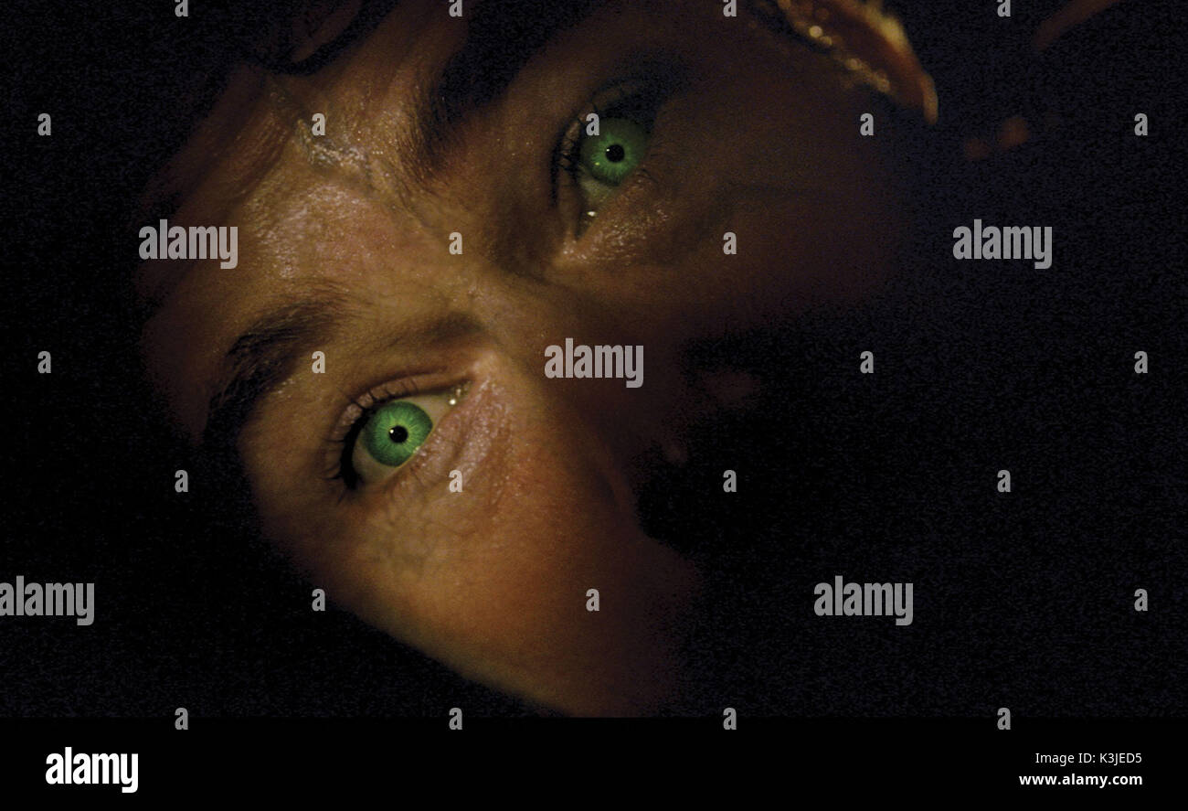 THE INCREDIBLE HULK aka HULK 2 EDWARD NORTON as Bruce Banner / Hulk ...