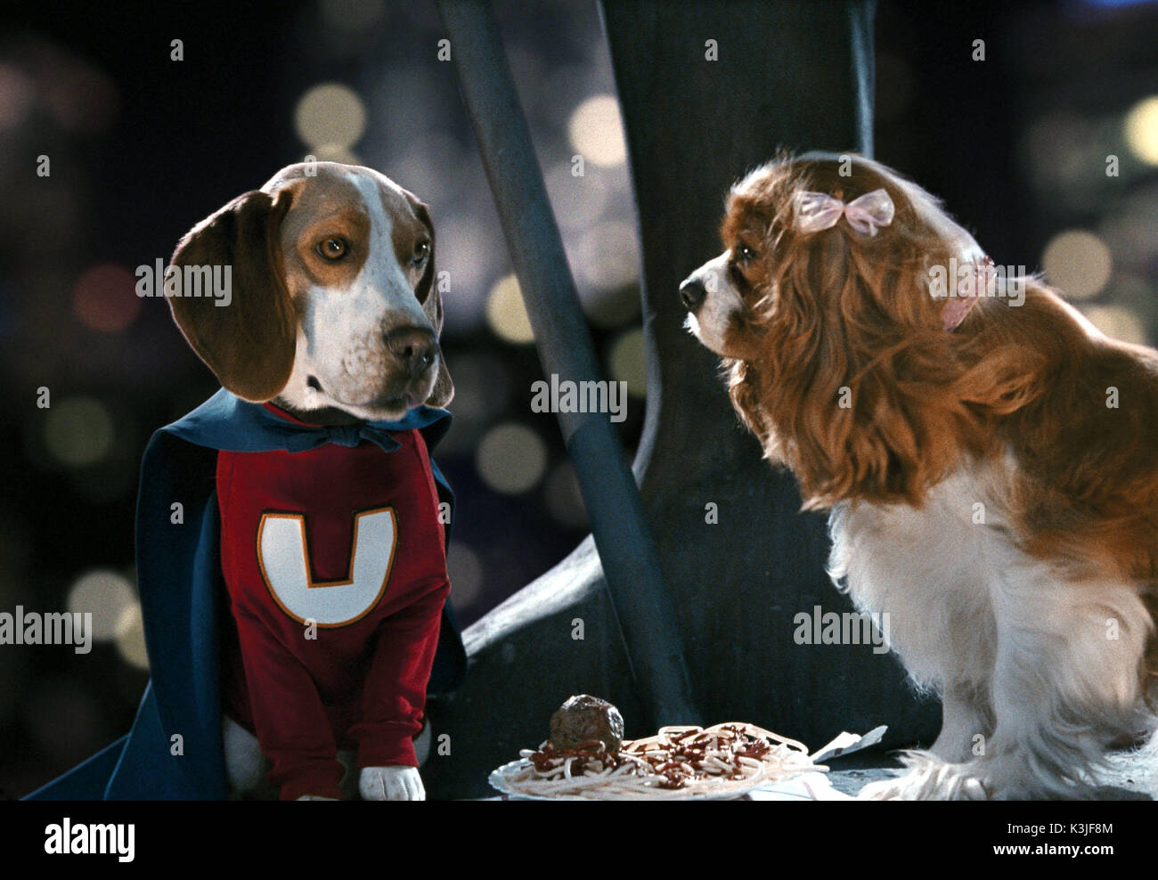 Underdogs Girlfriend Sweet Polly Purebred