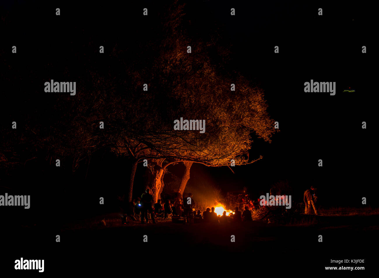 camp and camp fire under the stars Stock Photo - Alamy