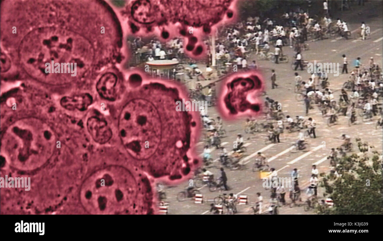 BODYSONG Pictured: VIOLENCE. BODYSONG Date: 2003 Stock Photo - Alamy