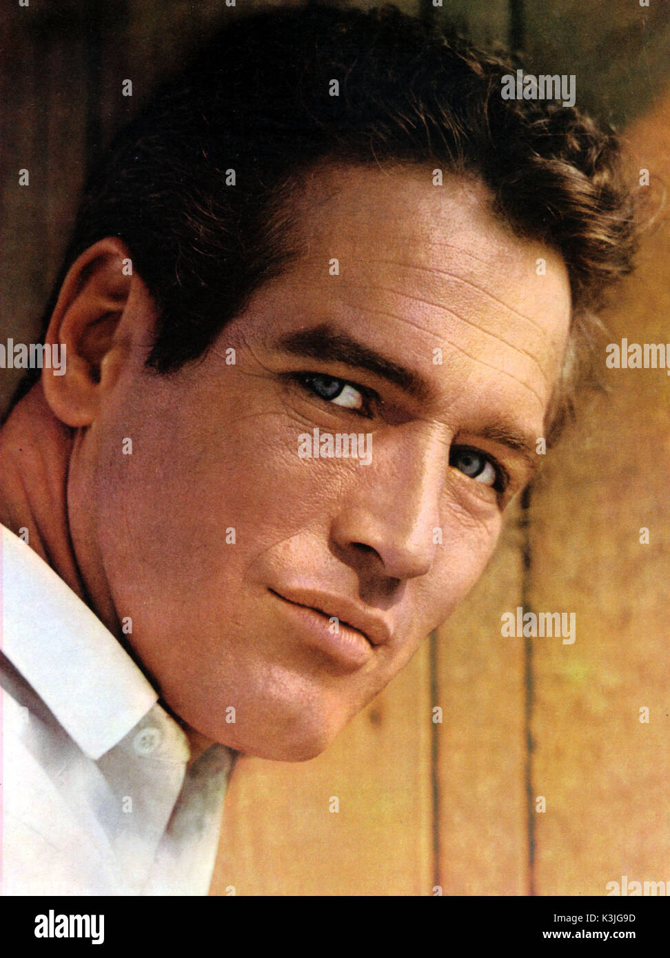 PAUL NEWMAN American Actor Stock Photo - Alamy