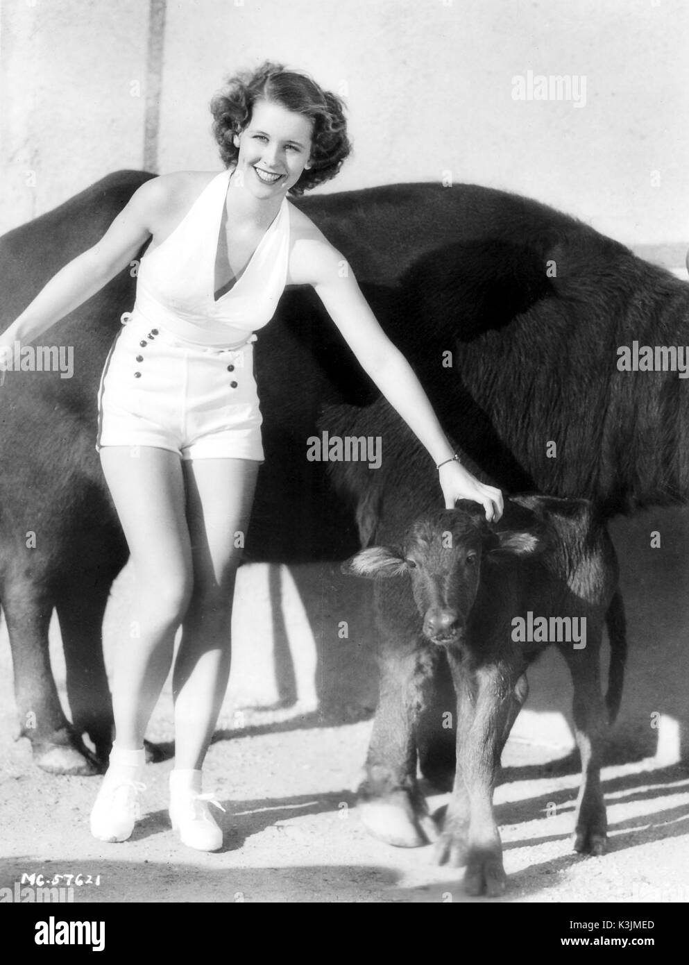MARY HOWARD American actor Stock Photo - Alamy