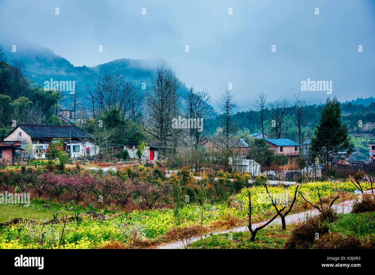 The colorful countryside scenery in the mist Stock Photo - Alamy