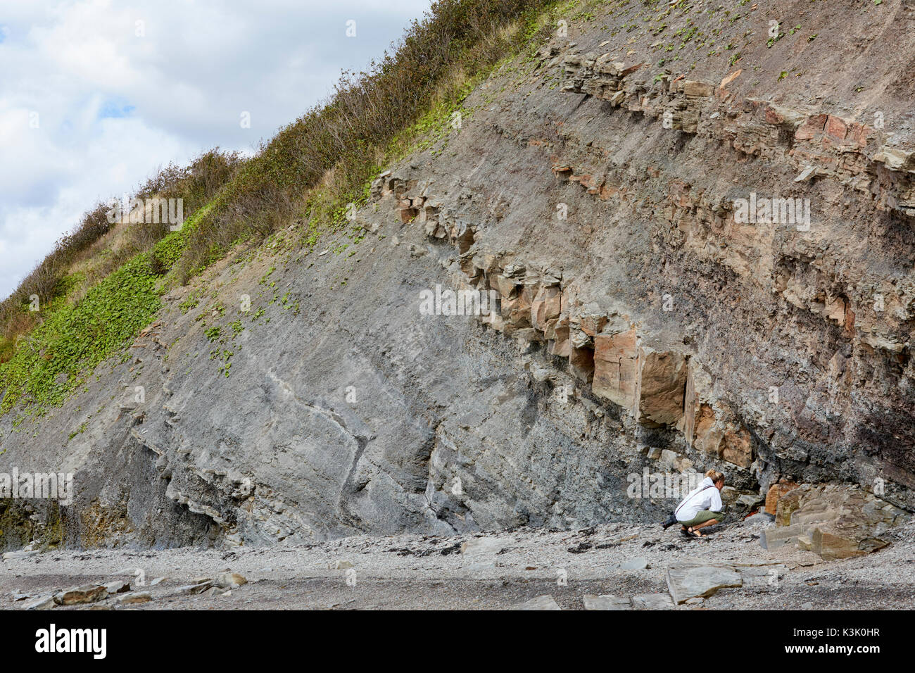 Joggins Fossil Cliffs, Nova Scotia, Canada Stock Photo - Alamy