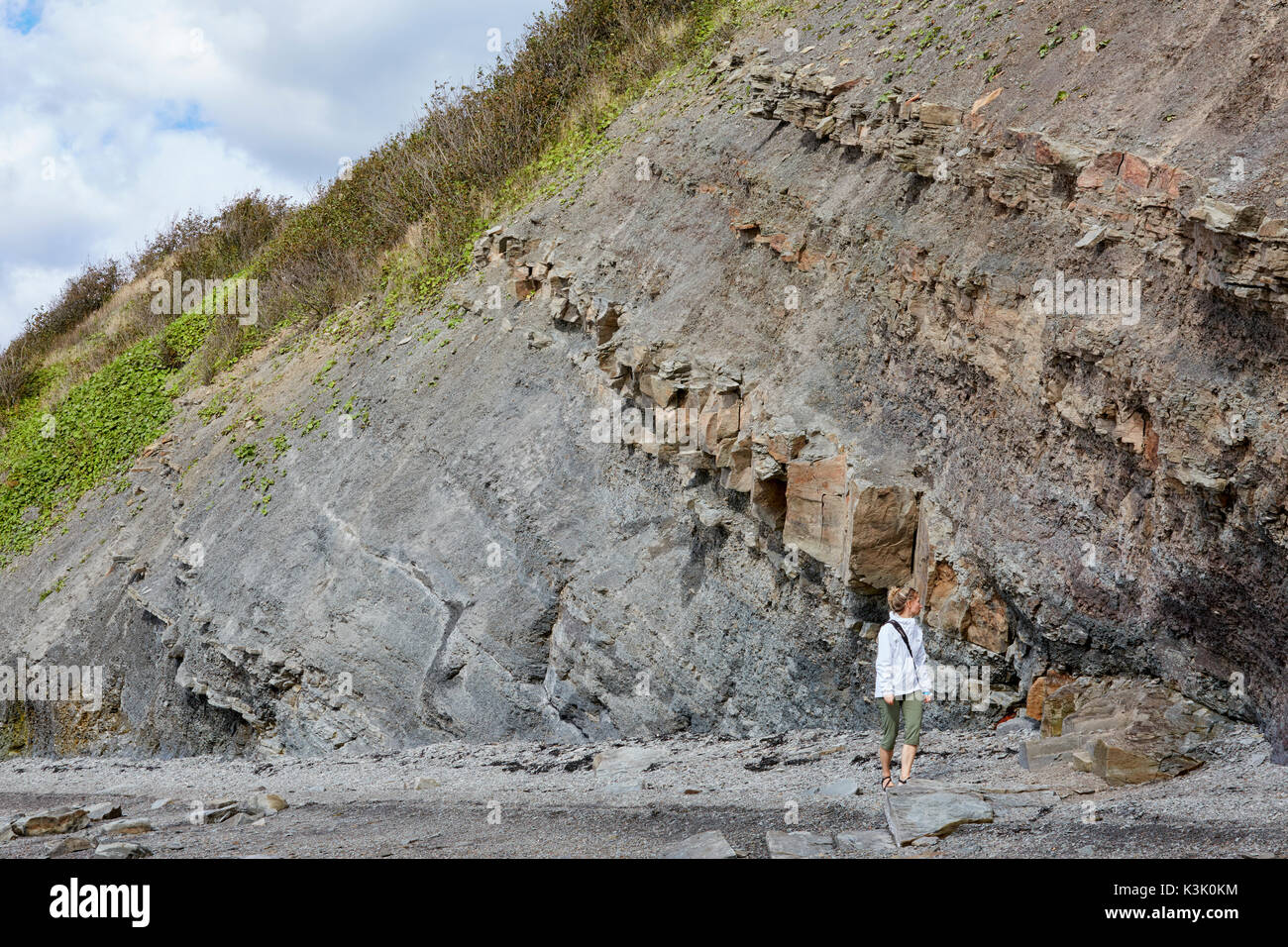 Joggins Fossil Cliffs, Nova Scotia, Canada Stock Photo - Alamy