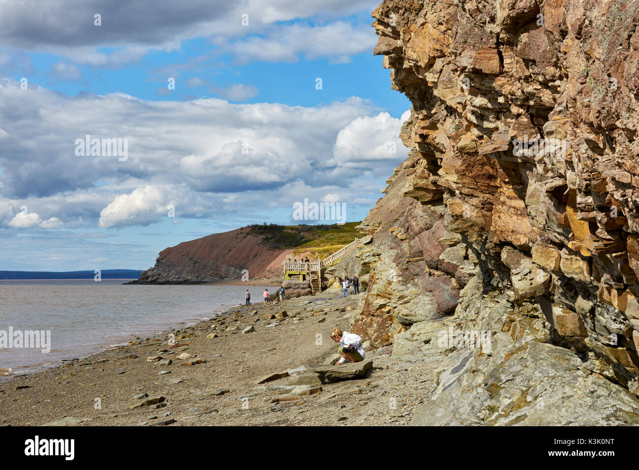 Joggins Fossil Cliffs, Nova Scotia, Canada Stock Photo - Alamy