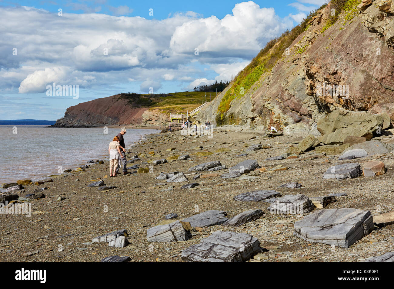 Joggins Fossil Cliffs, Nova Scotia, Canada Stock Photo - Alamy
