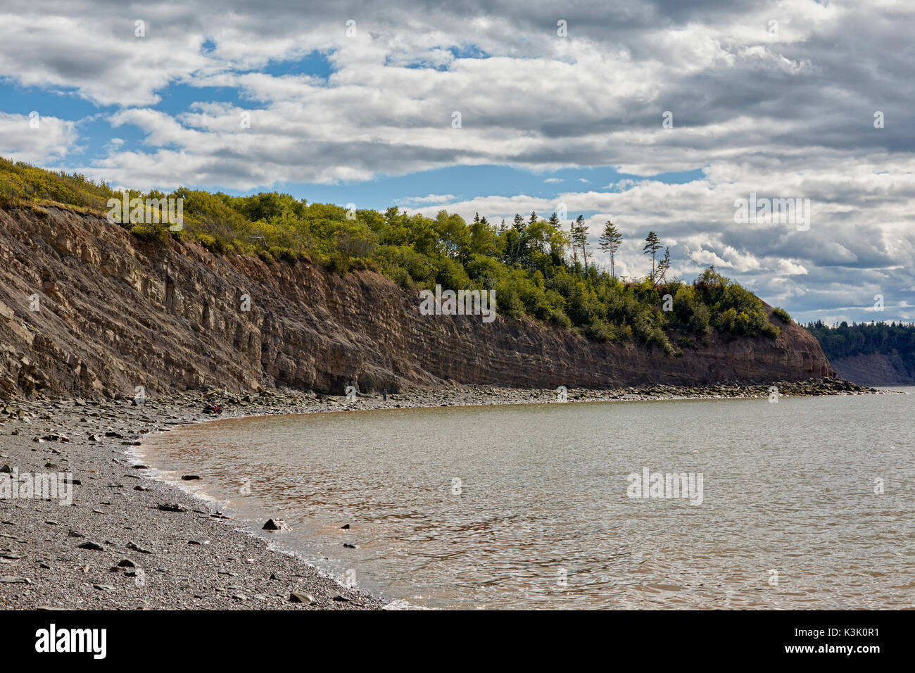 Joggins Fossil Cliffs, Nova Scotia, Canada Stock Photo - Alamy
