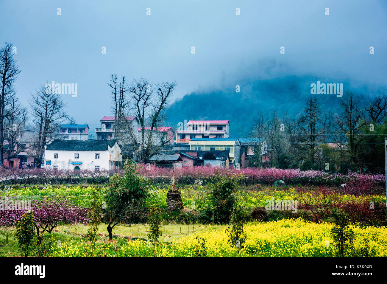 The colorful countryside scenery in the mist Stock Photo - Alamy