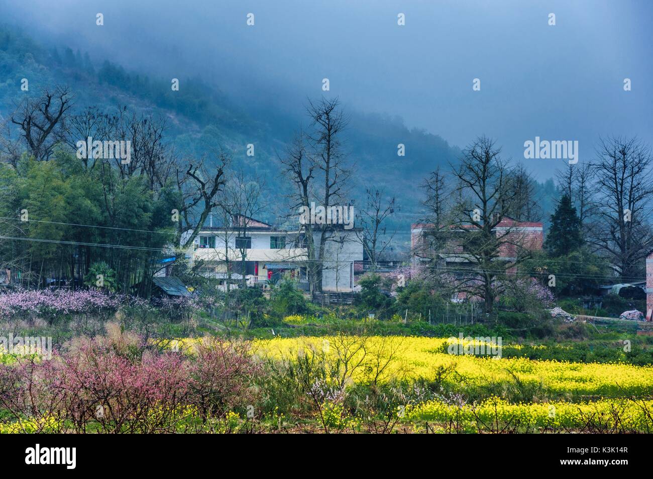 The colorful countryside scenery in the mist Stock Photo - Alamy