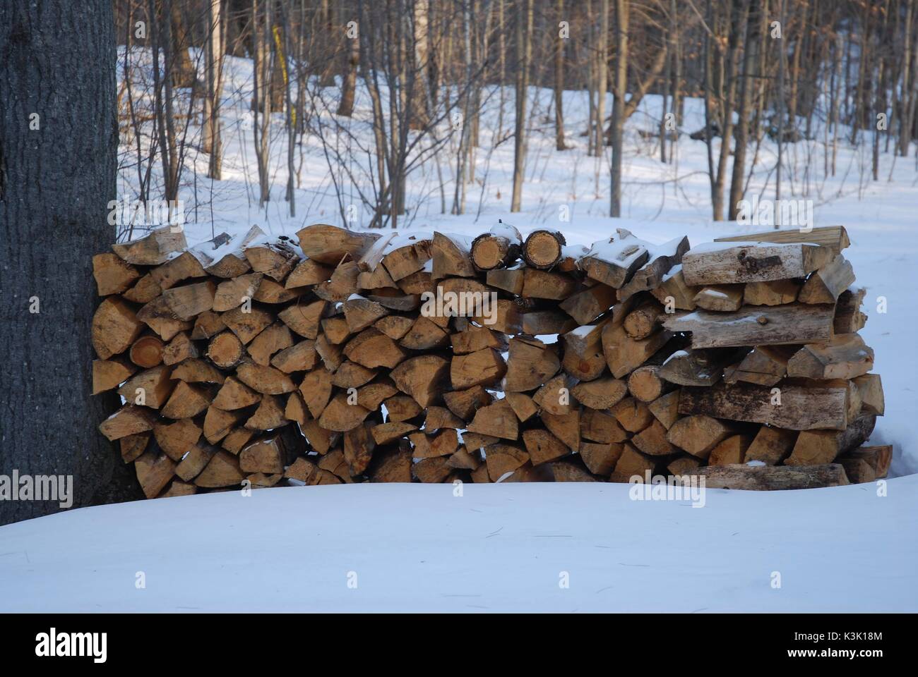 Stacked wood pile hi-res stock photography and images - Alamy
