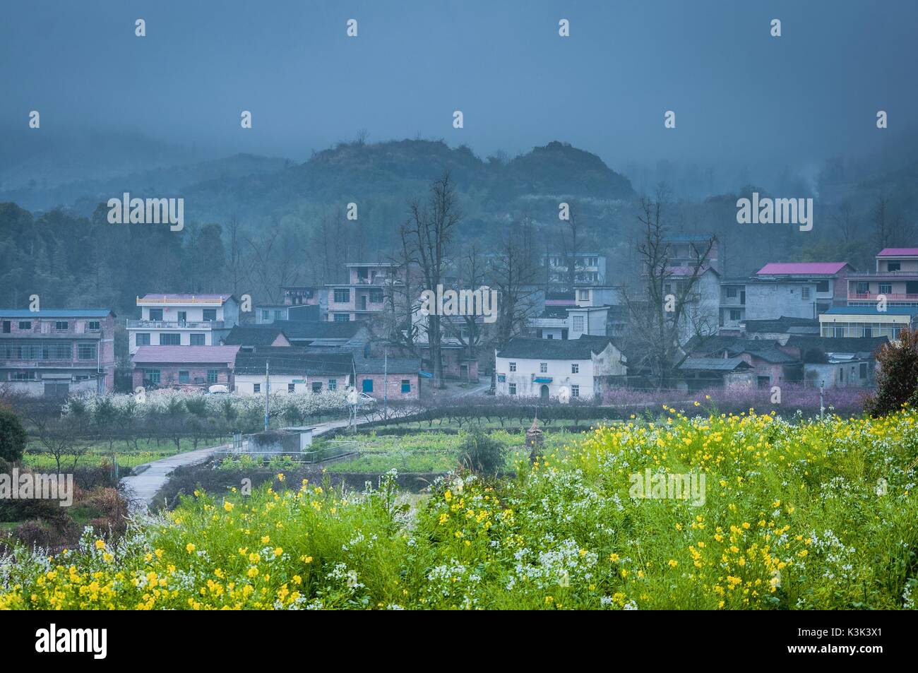 The colorful countryside scenery in the mist Stock Photo - Alamy