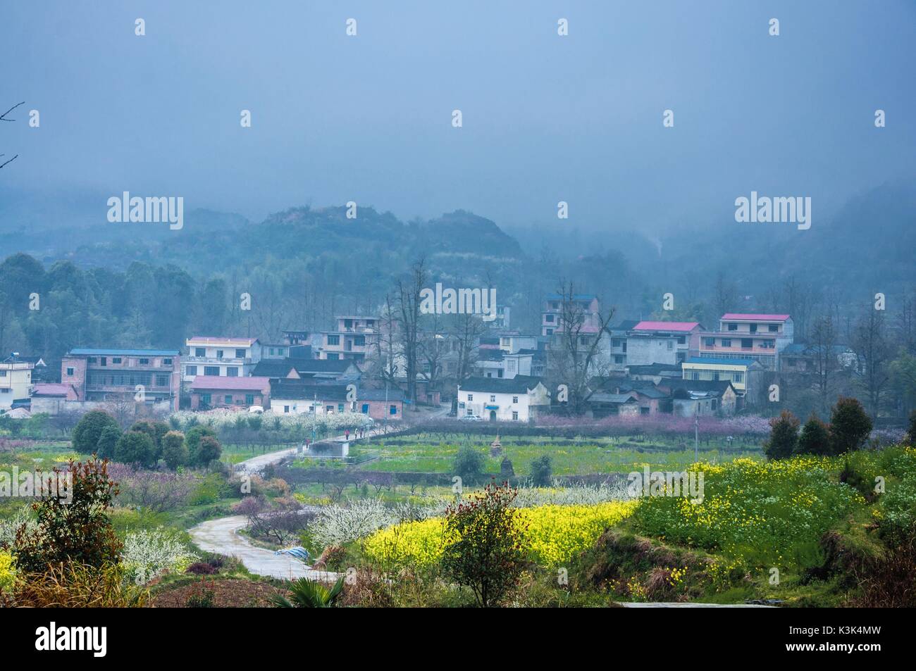 The colorful countryside scenery in the mist Stock Photo - Alamy