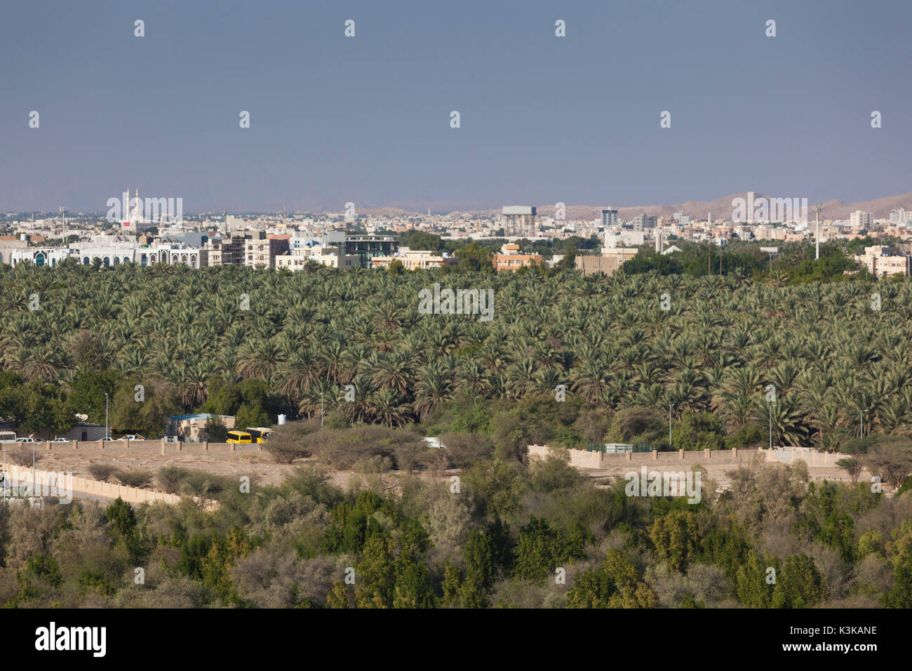 UAE, Al Ain, elevated view of town and the Al Ain Oasis Stock Photo - Alamy