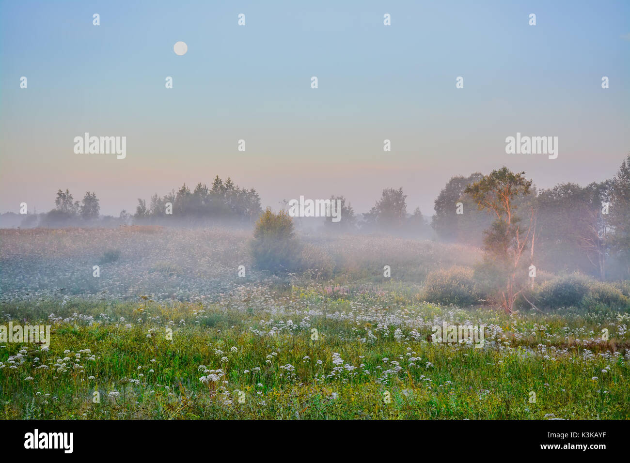 Summer dawn in the countryside Stock Photo - Alamy