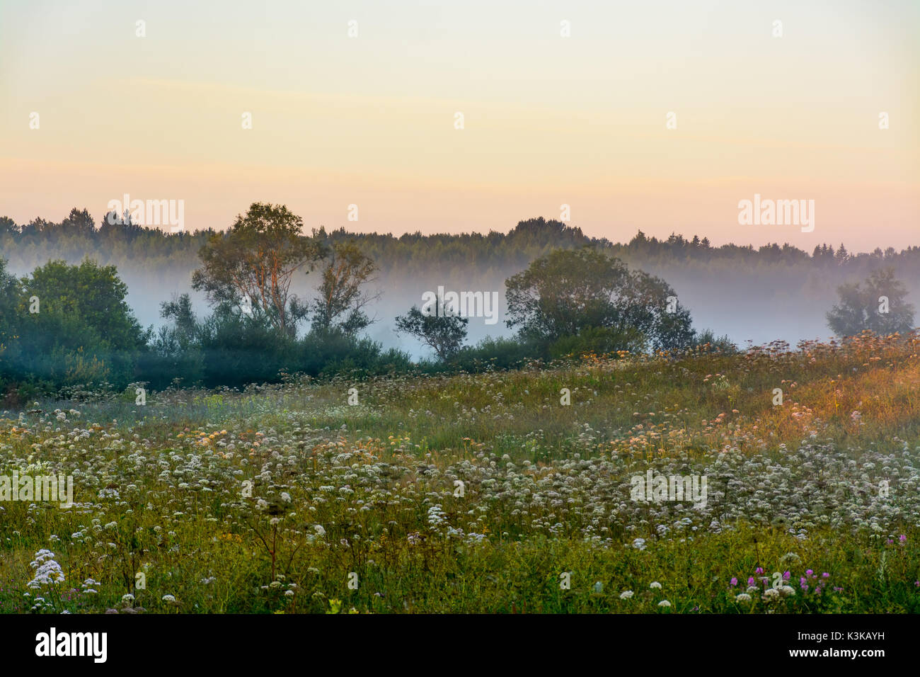 Summer dawn in the countryside Stock Photo - Alamy