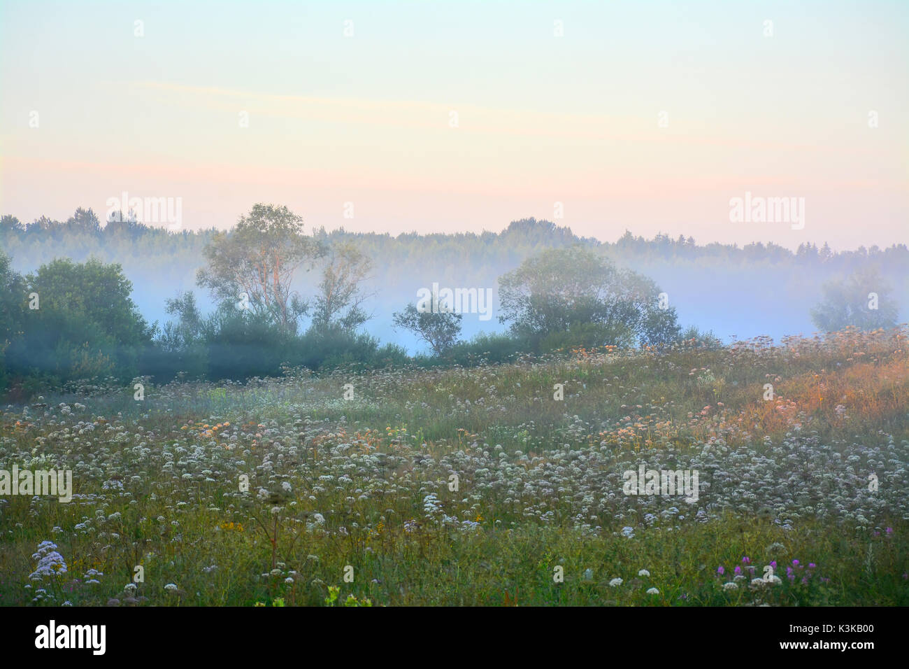 Summer dawn in the countryside Stock Photo - Alamy