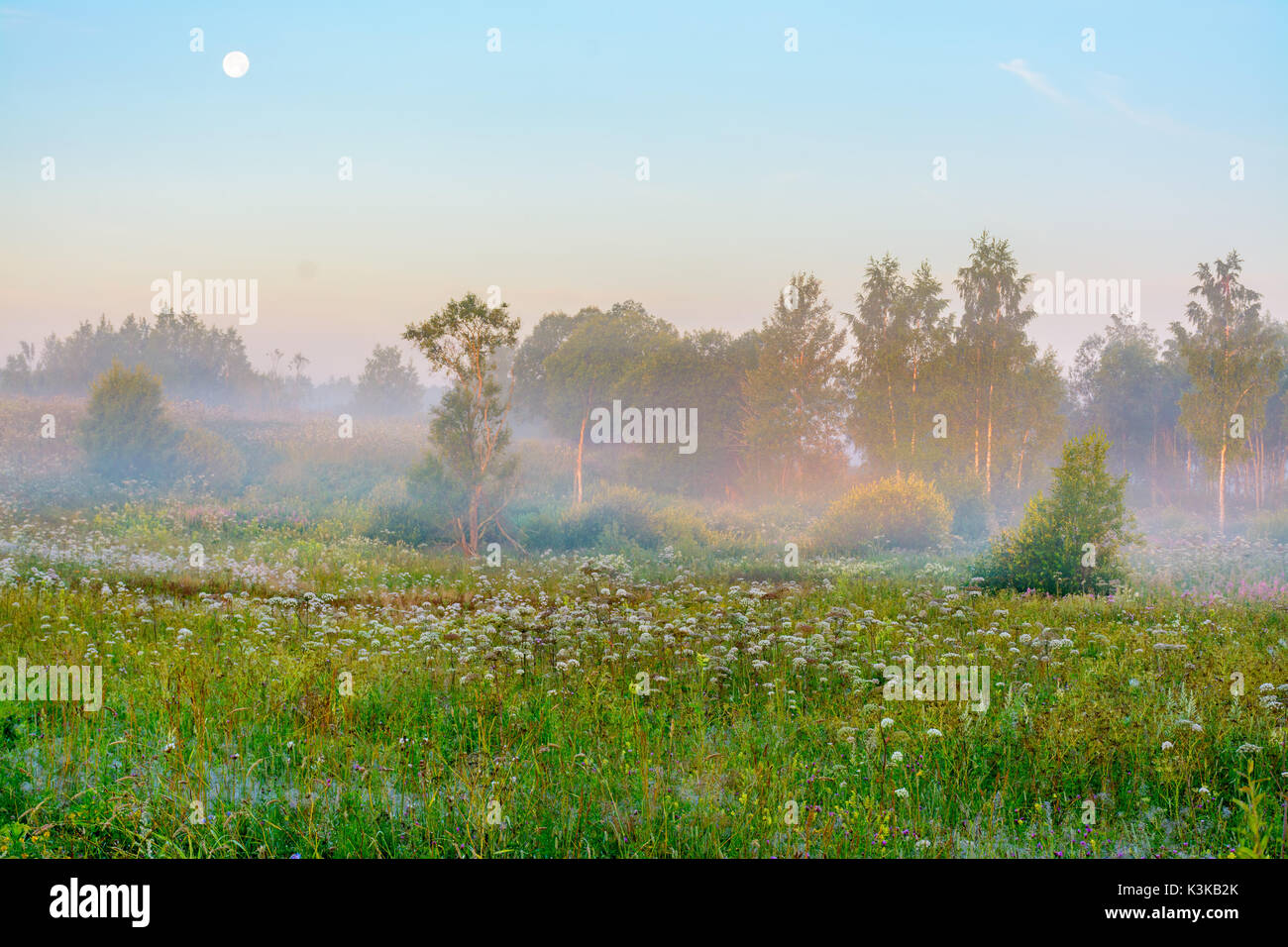 Summer dawn in the countryside Stock Photo - Alamy