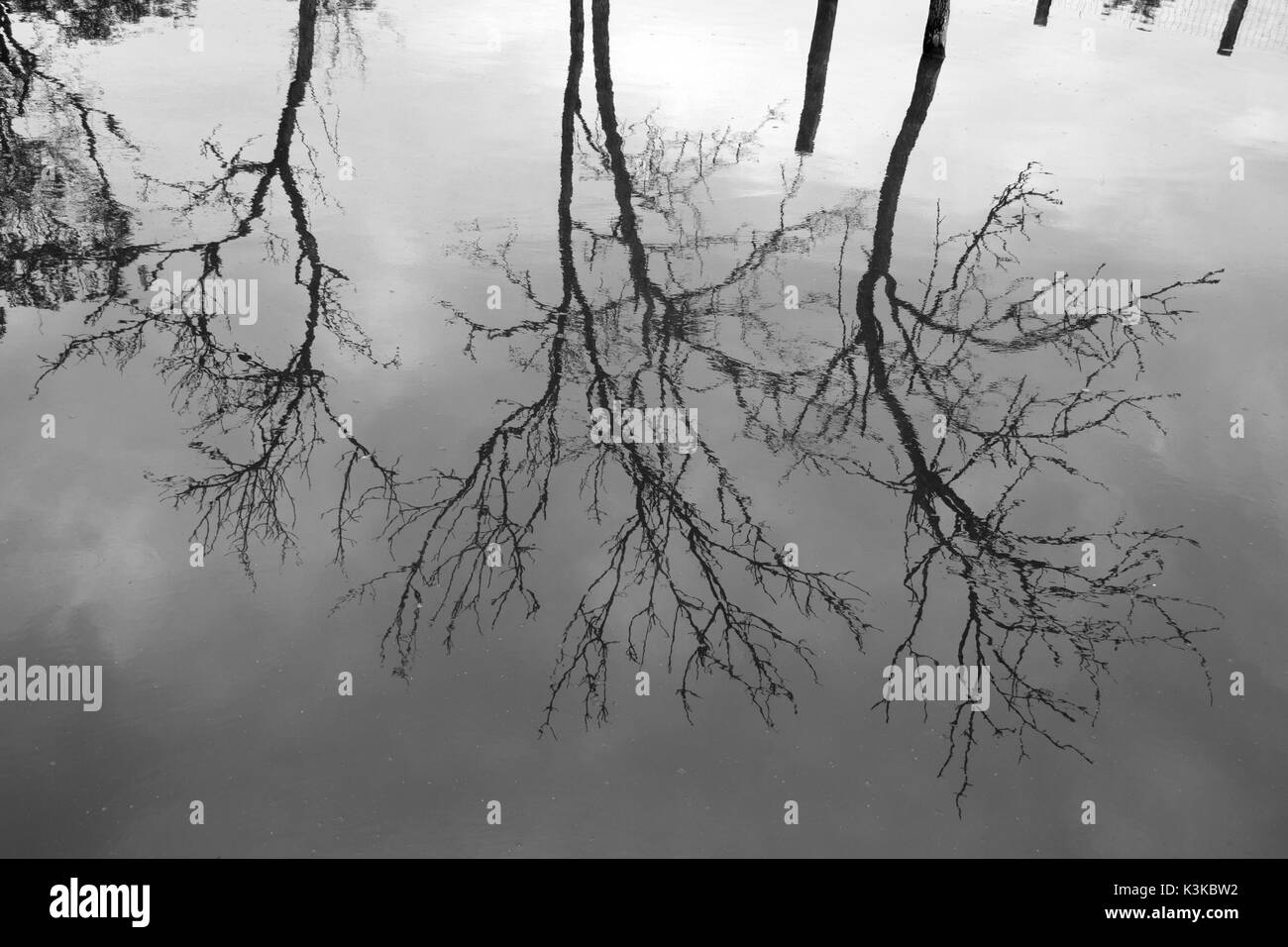 Abstract water reflect Black and White Stock Photos & Images - Alamy