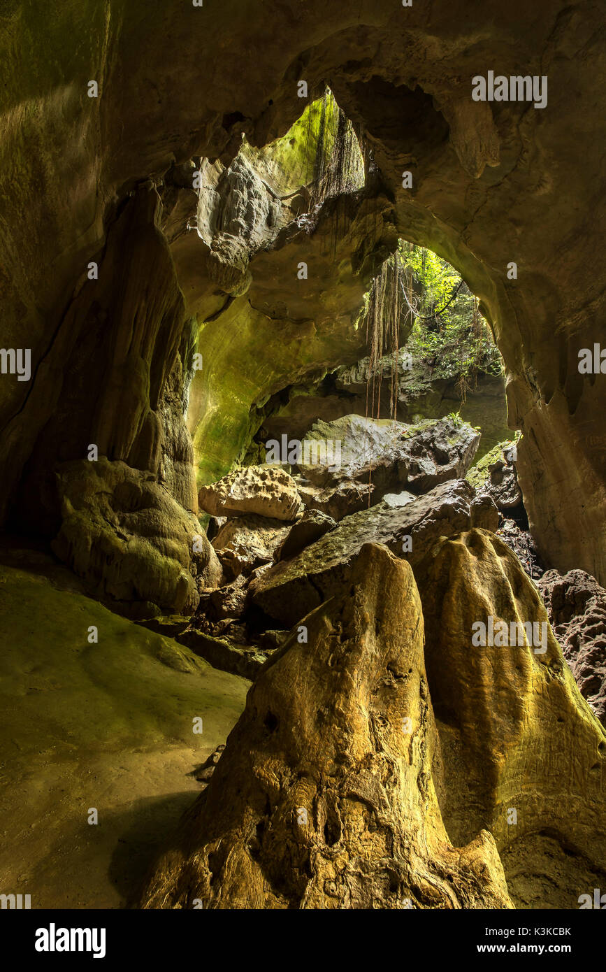 Forked cave system of the 'Bat Cave' close Bukit Lawang in the jungle ...
