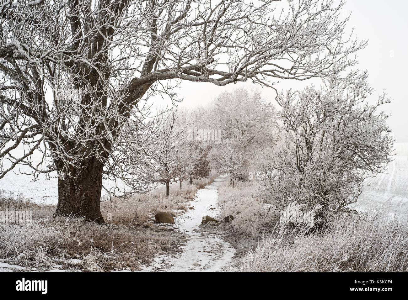 Iced over fields hi-res stock photography and images - Alamy