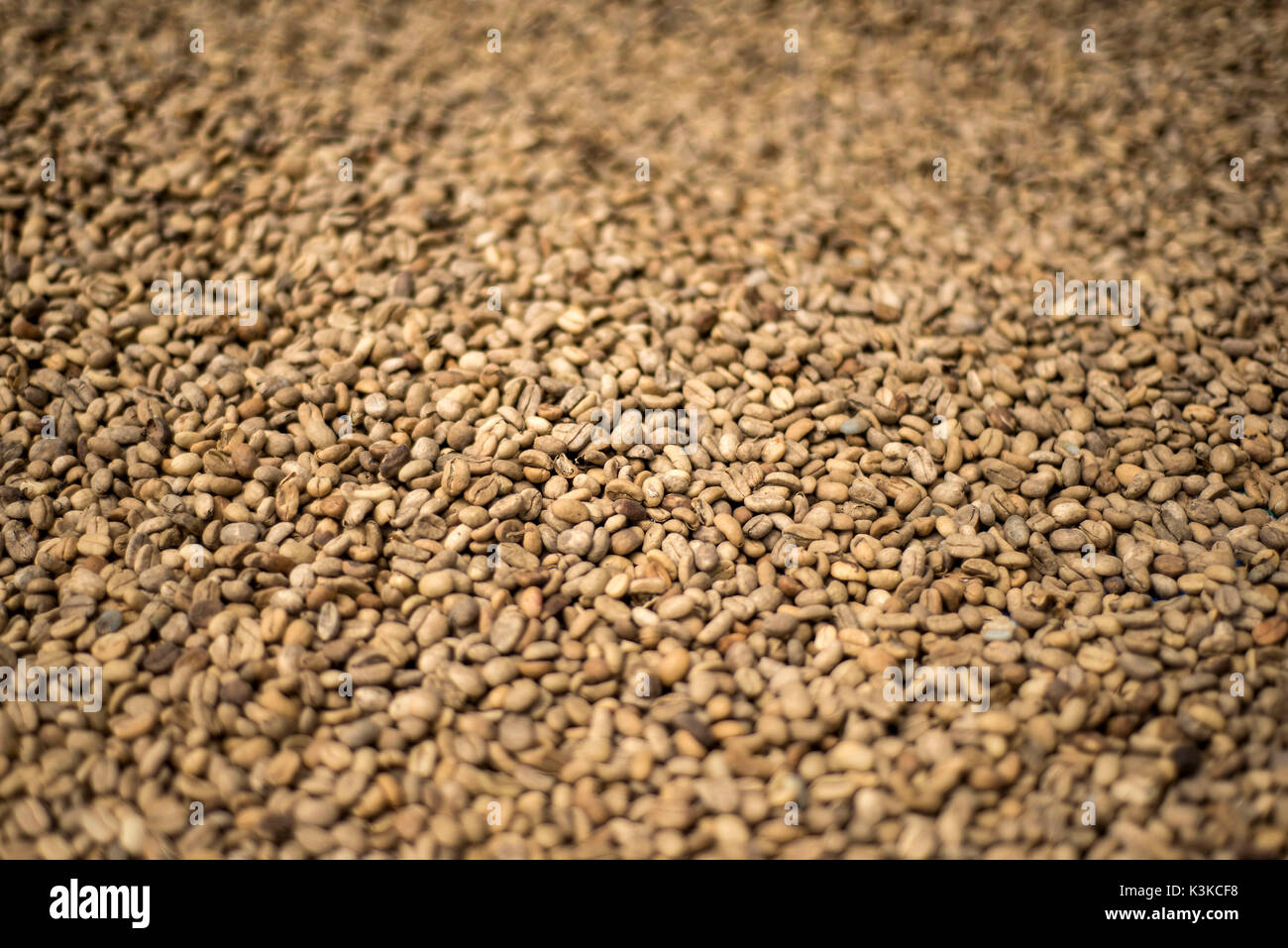 Unroasted beans hi-res stock photography and images - Alamy