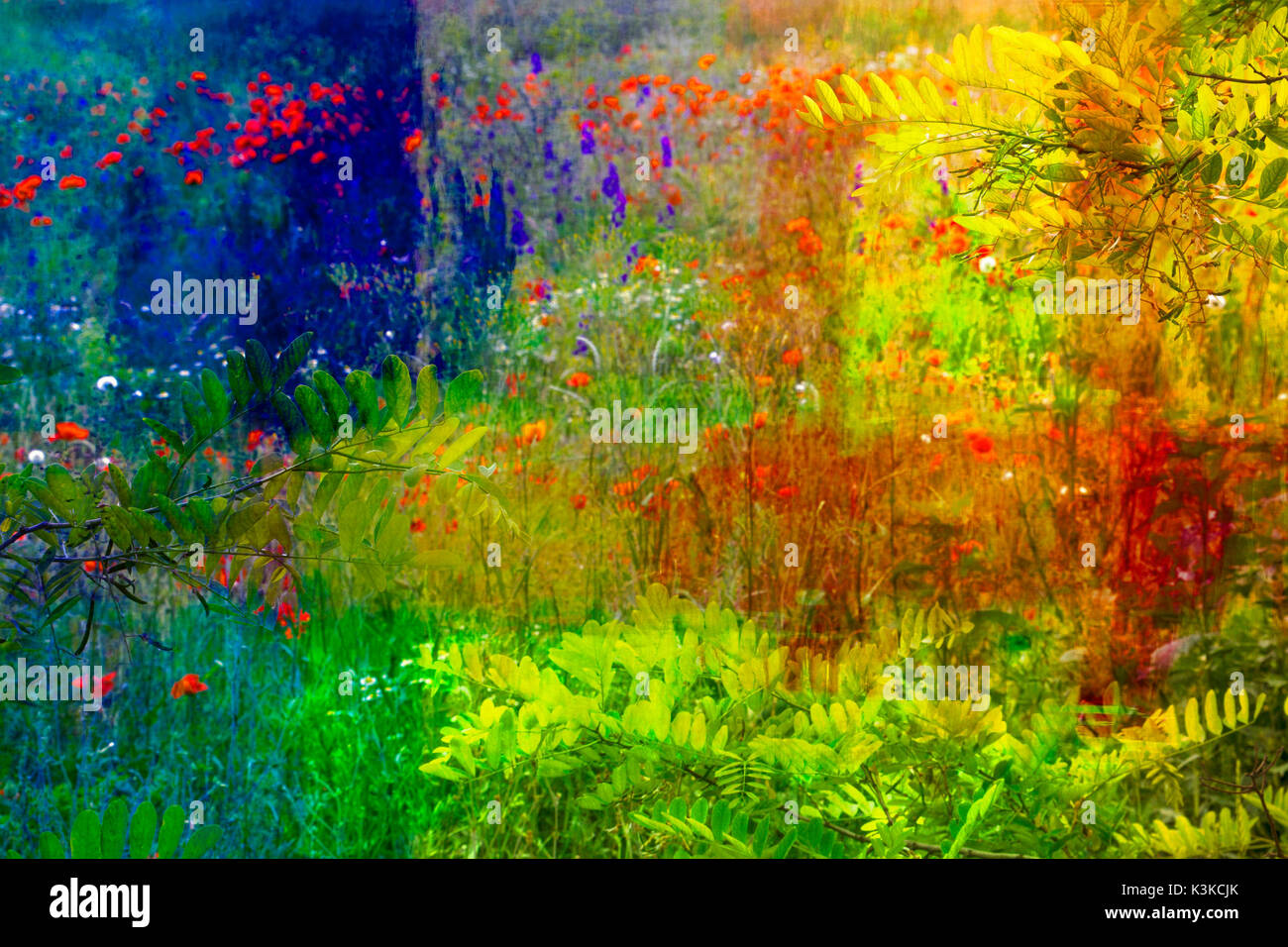 Colorful digital hi-res stock photography and images - Alamy