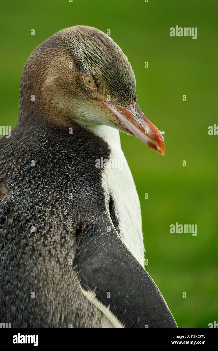 Looks in camera hi-res stock photography and images - Alamy