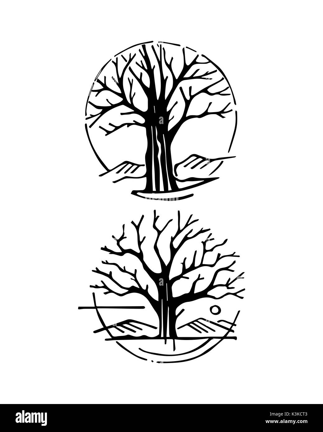 Hand drawn vector illustration or ink drawing of a pair of dry trees ...