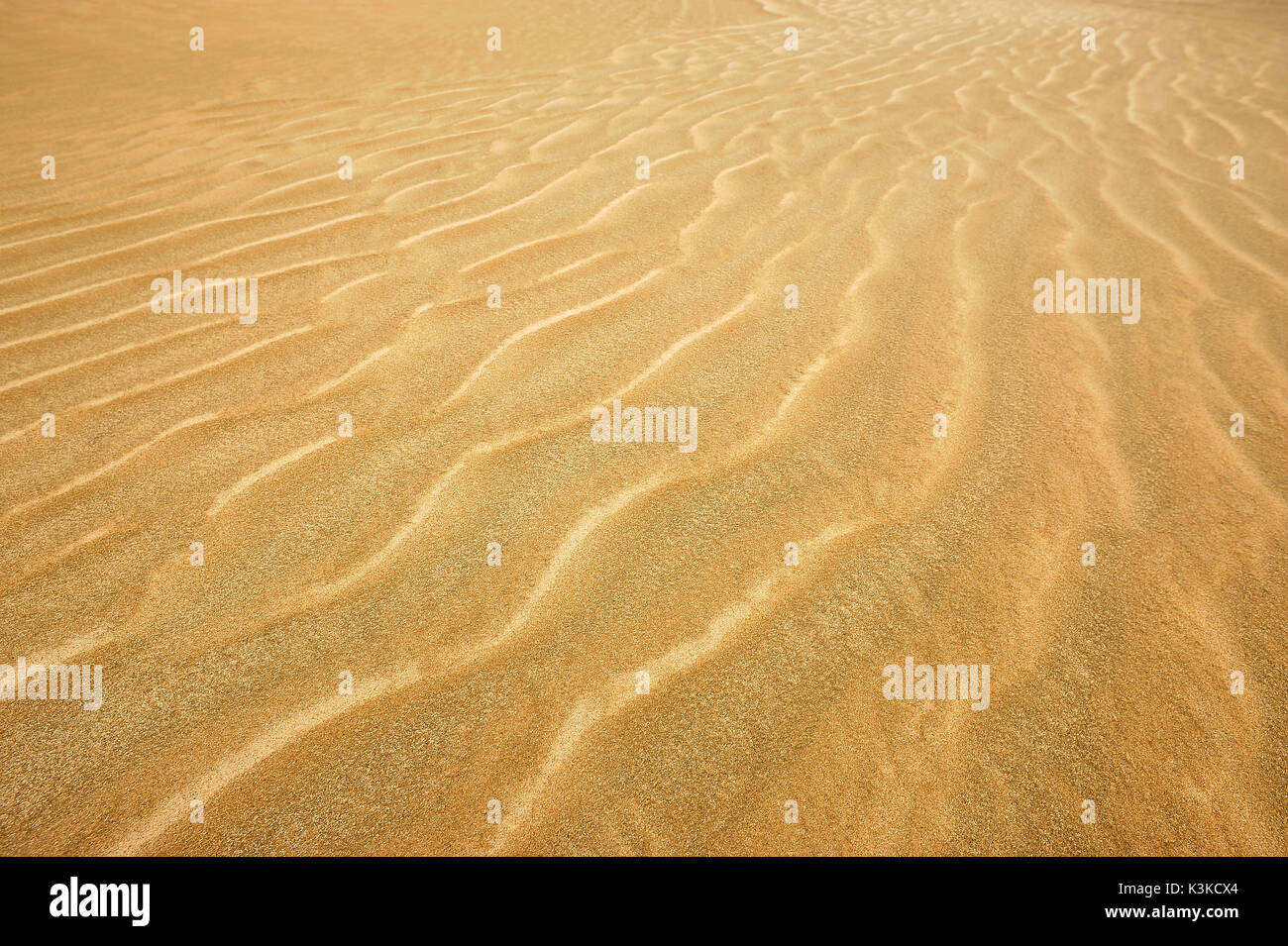 Sand structures in the Ninety Mile Beach in New Zealand Stock Photo - Alamy