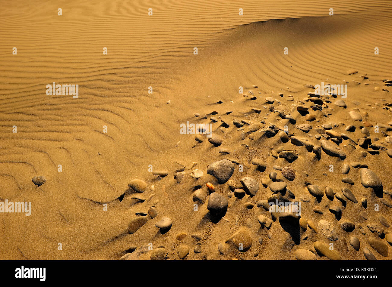 Stones in Sand of a dune Stock Photo - Alamy
