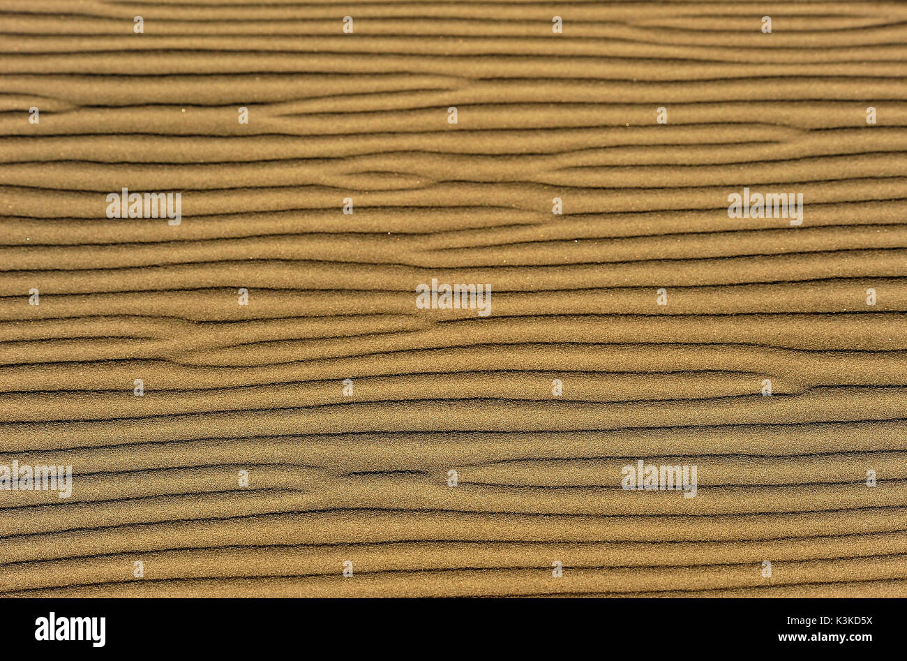 Wave so sand hi-res stock photography and images - Alamy