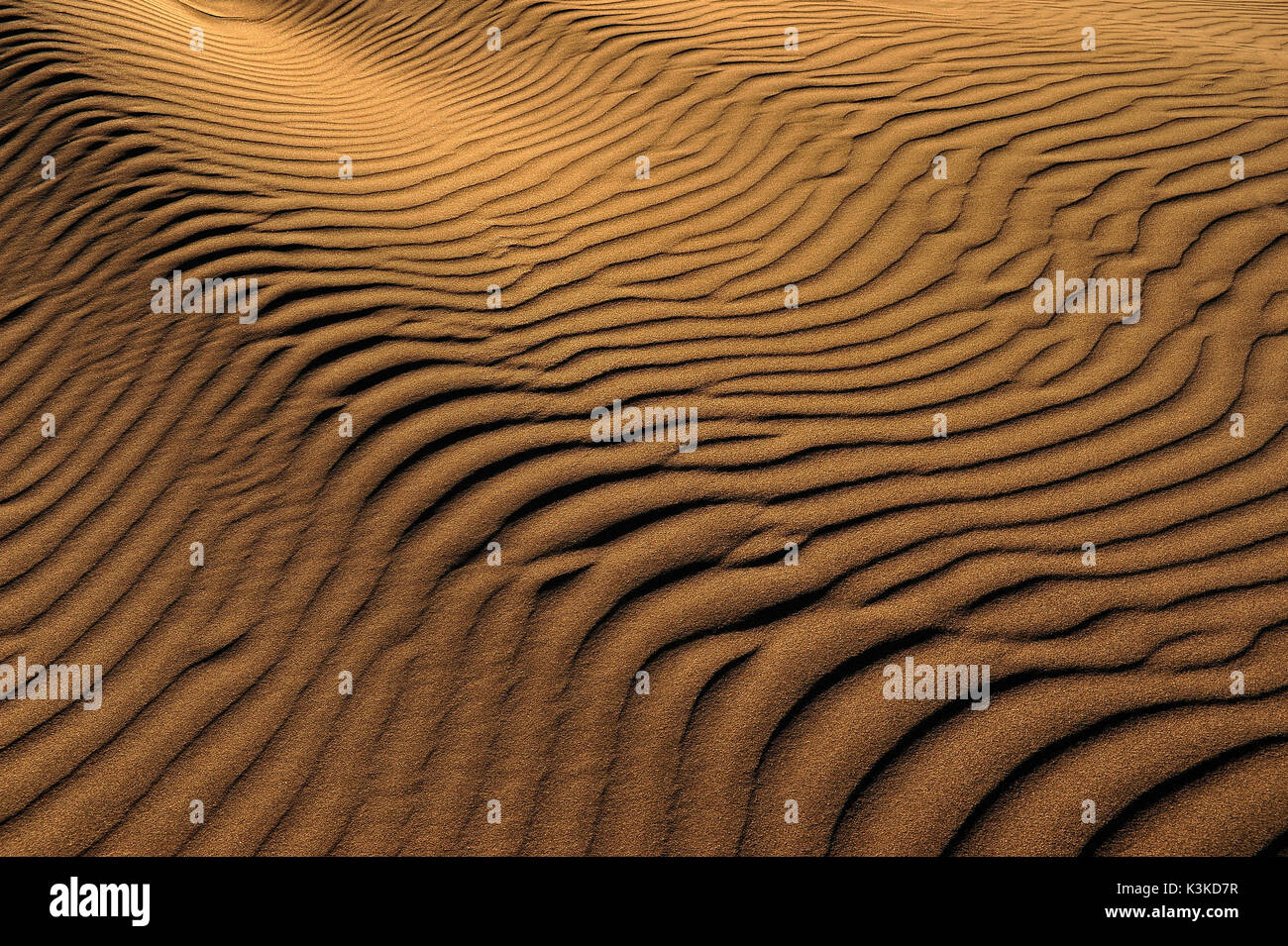 Sand dune with wind waves Stock Photo - Alamy