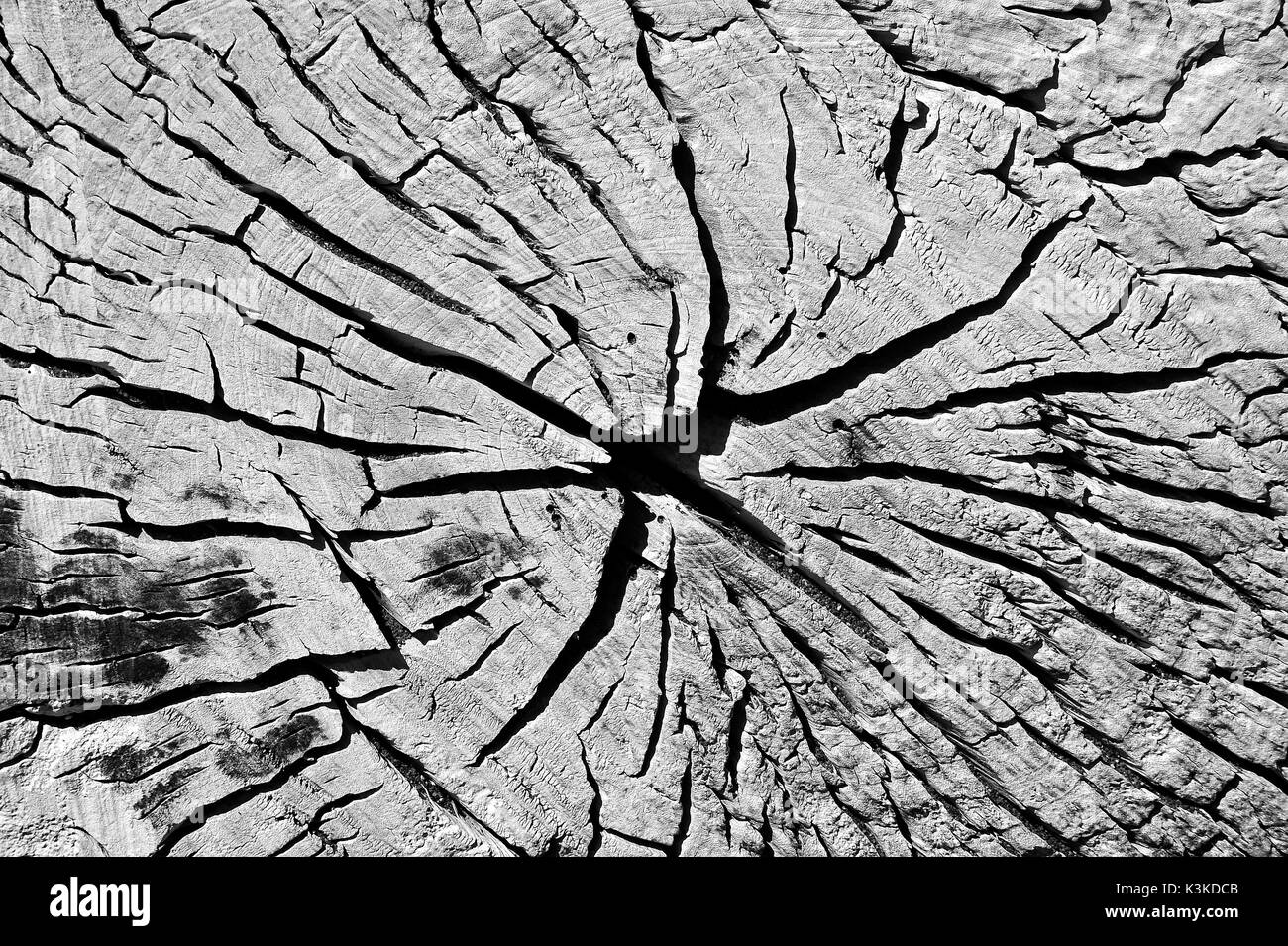 Cracked wood hi-res stock photography and images - Alamy