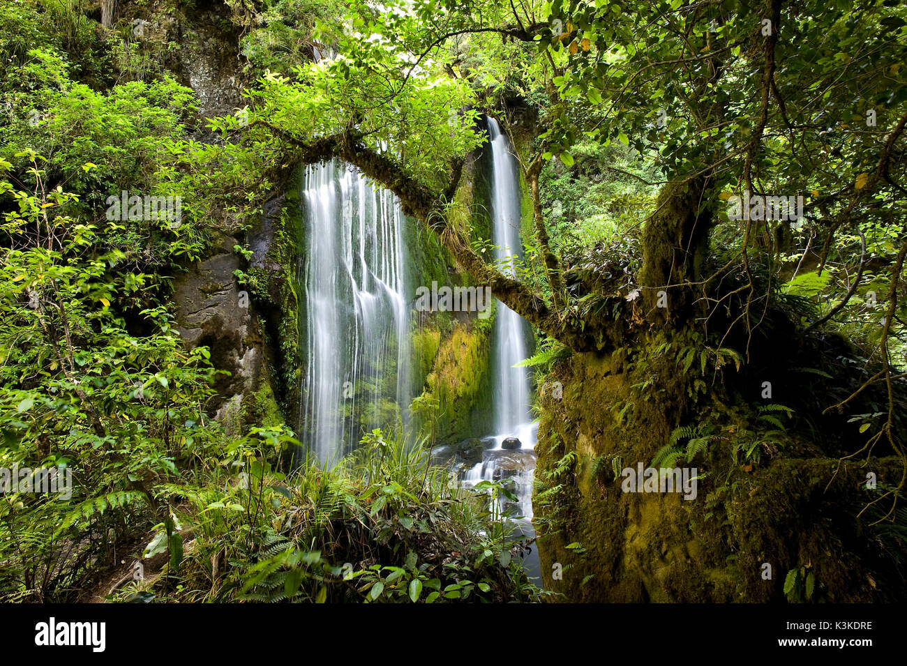 Korokoro new zealand hi-res stock photography and images - Alamy