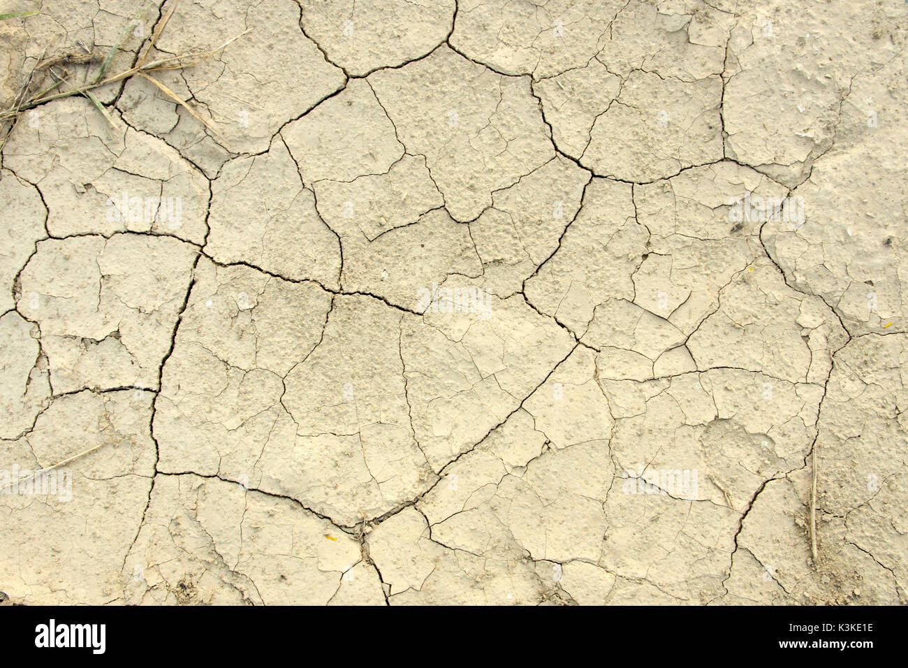 Cracked earth texture hi-res stock photography and images - Alamy
