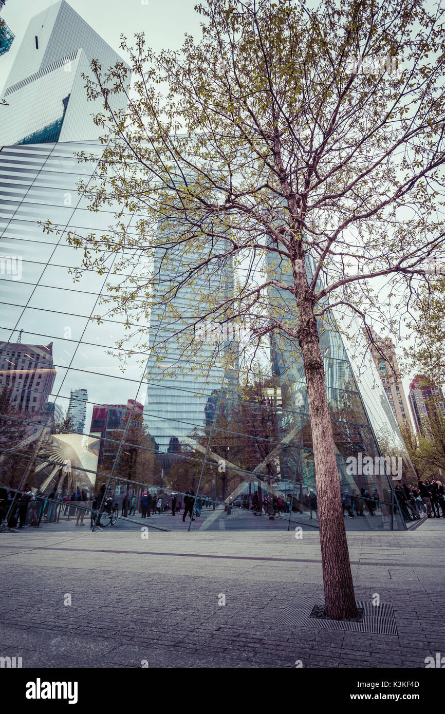 Skyscraper and tree reflection at national 9 11 memorial hi-res stock ...