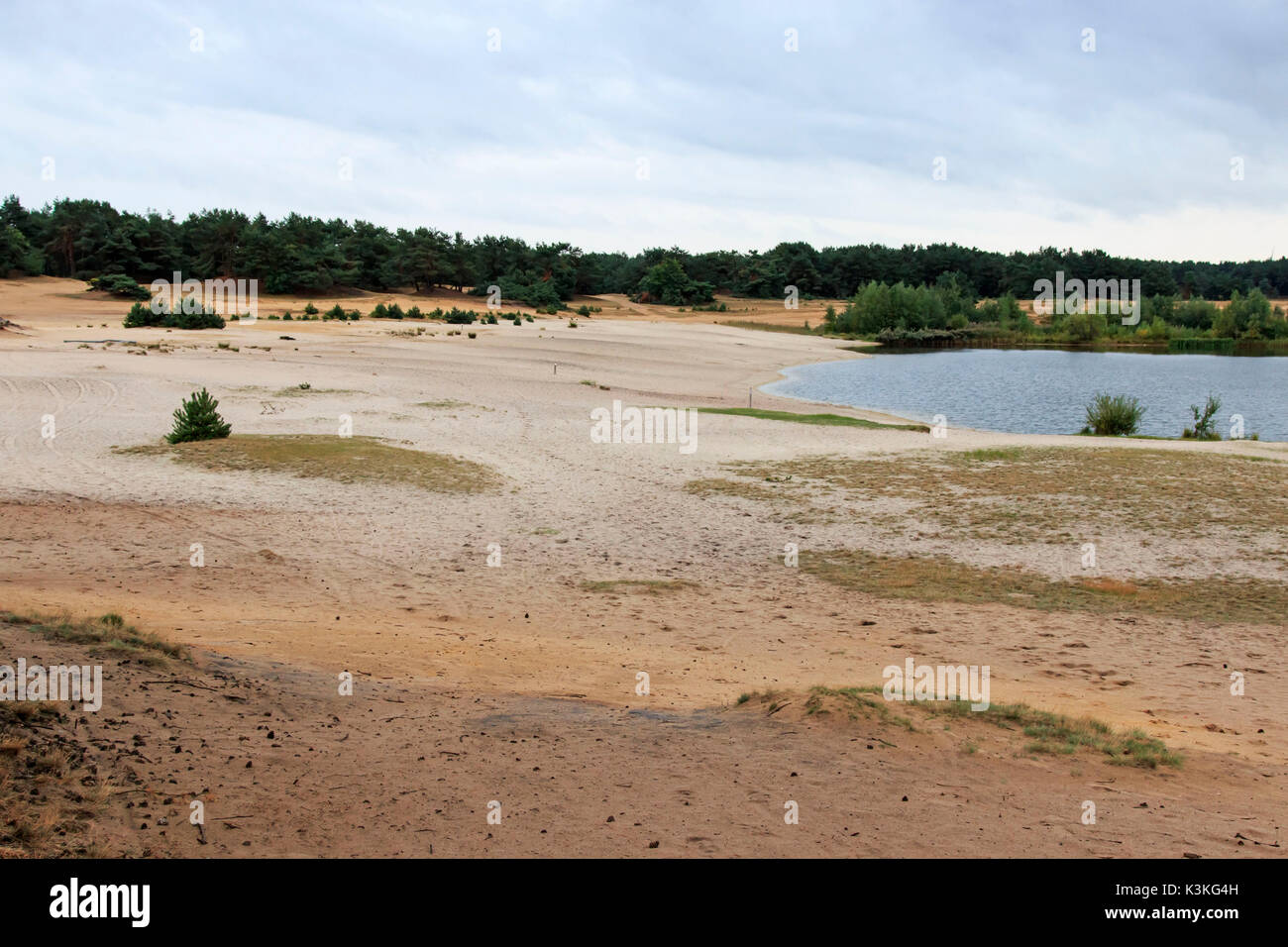 Rain in sahara desert hi-res stock photography and images - Alamy