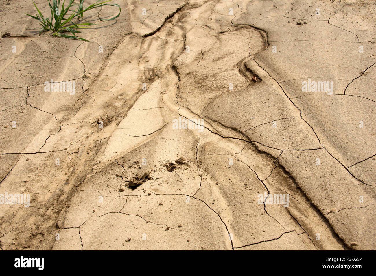 Sand surface after rain hi-res stock photography and images - Alamy