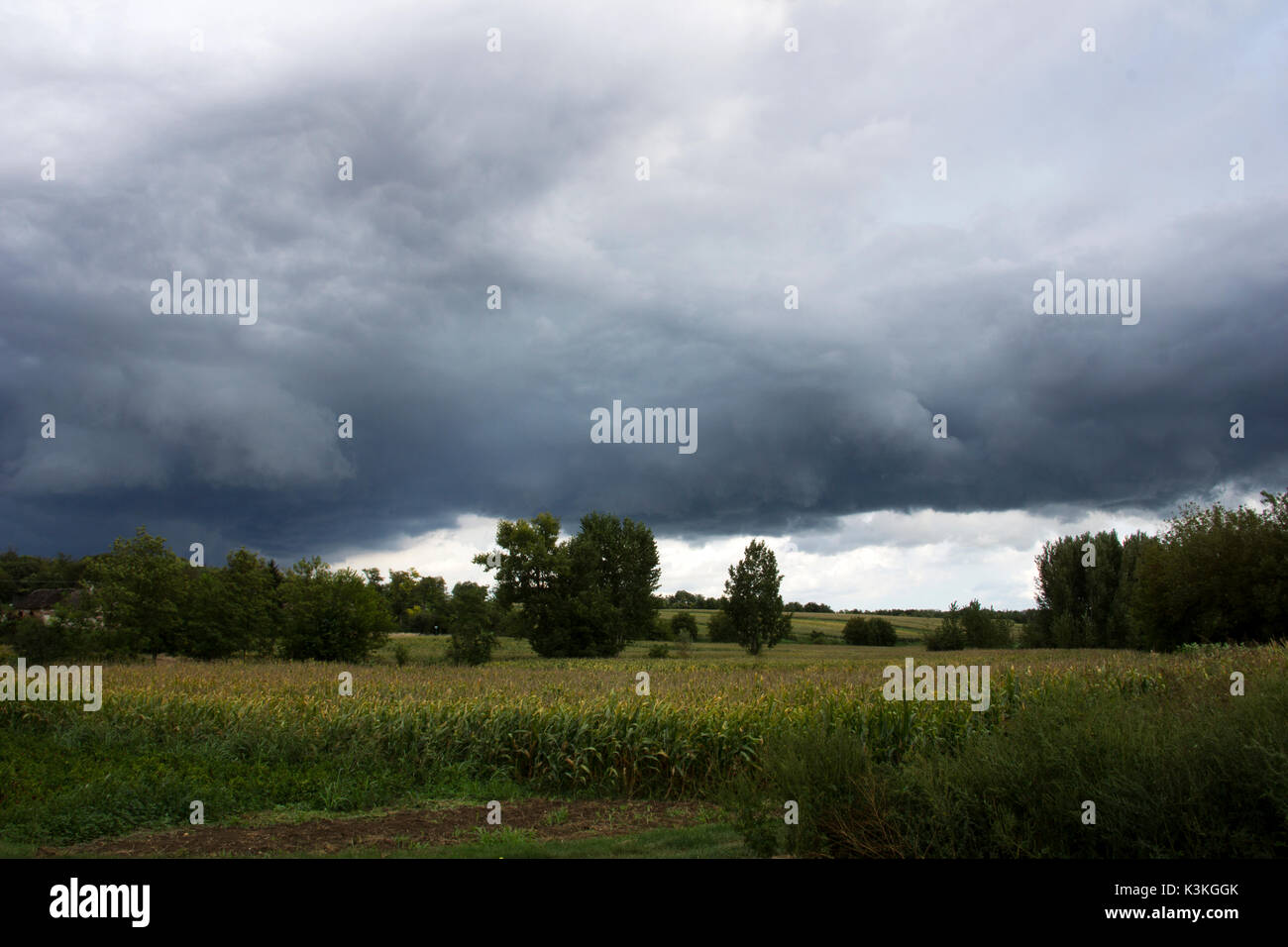 Threatening danger hi-res stock photography and images - Alamy