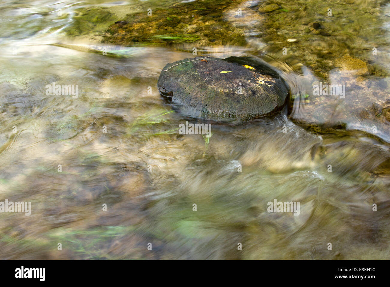 Water Circulation High Resolution Stock Photography and Images - Alamy