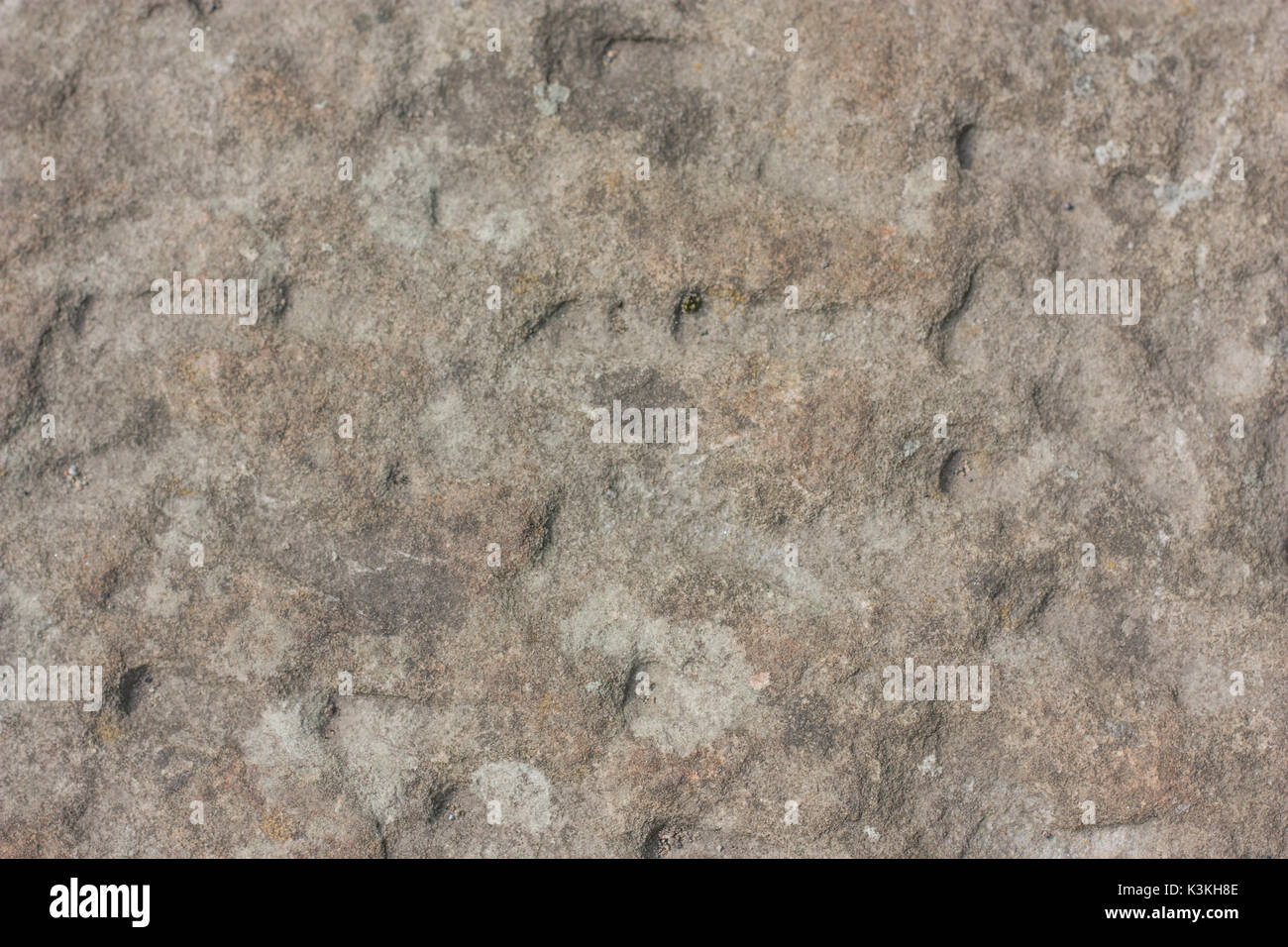Grain texture background hi-res stock photography and images - Alamy