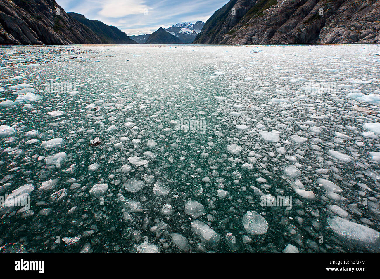 Ice floes floating in a tide water glacier bay in southern alaska ...