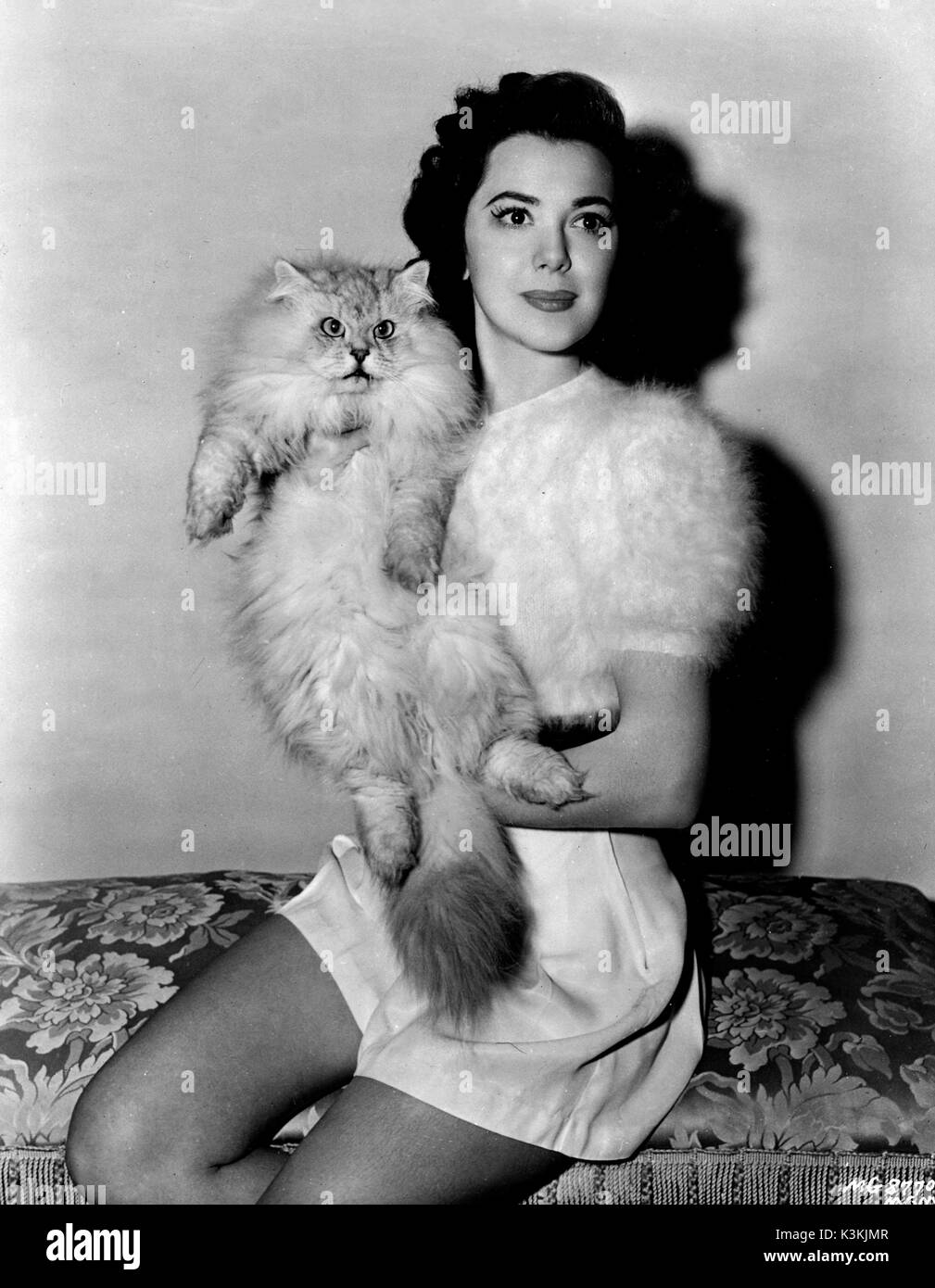 Ann rutherford hi-res stock photography and images - Alamy