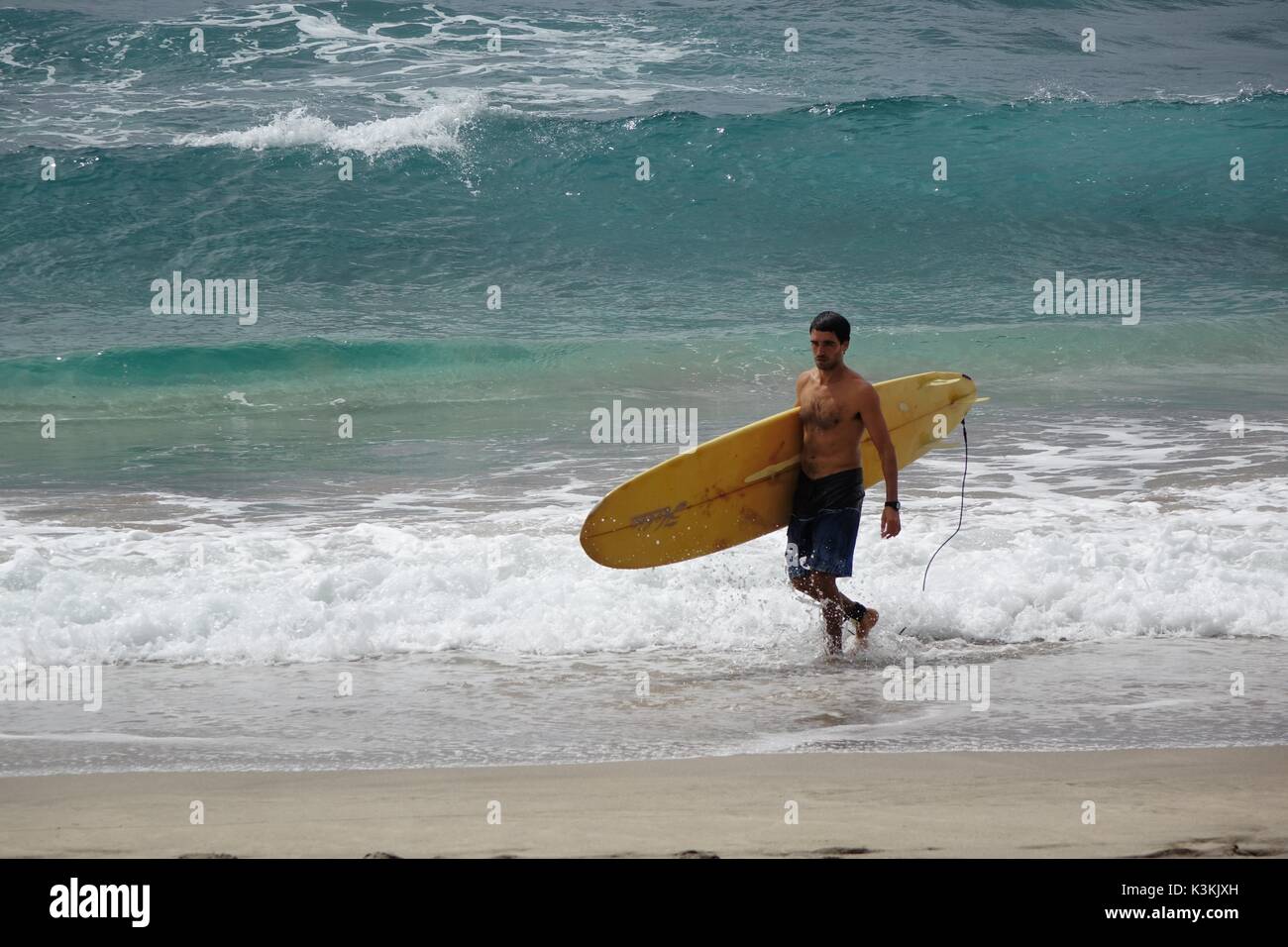 Man carrying surfboard hi-res stock photography and images - Alamy