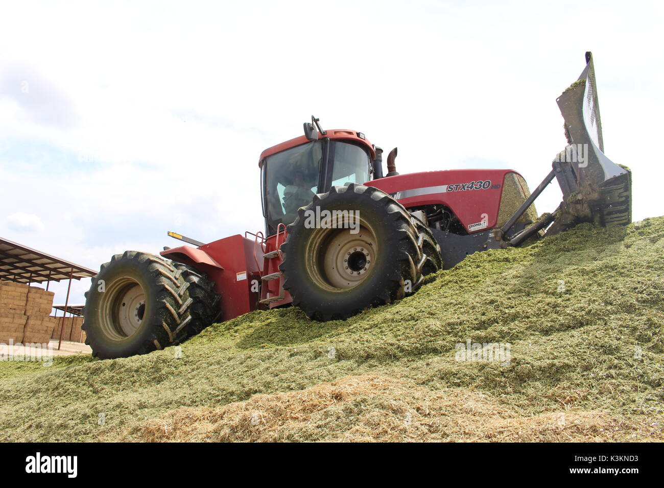Tractor pushing up feed in central California Stock Photo - Alamy