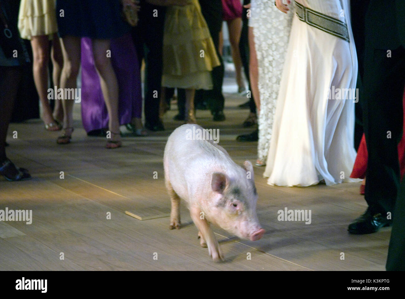 How to make friends and alienate people hi-res stock photography and ...